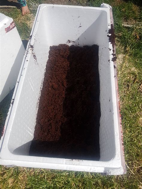 How To Create A DIY Worm Farm Made From Polystyrene Boxes