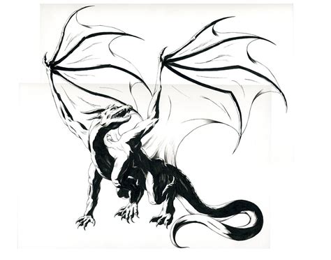 Рисунок дракона черно белый - фото и картинки abrakadabra.fun