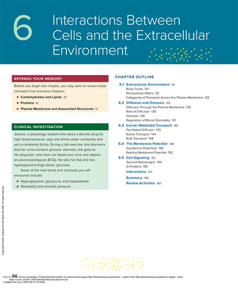 Human Physiology 6 Interactions Between Cells And The Extracellular
