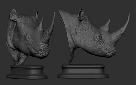 3d Rhinoceros Model Turbosquid 1963108