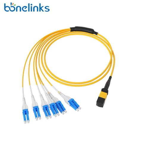 Mpo To Lc 12 Fiber 9 125 Single Mode Os2 Breakout Cable