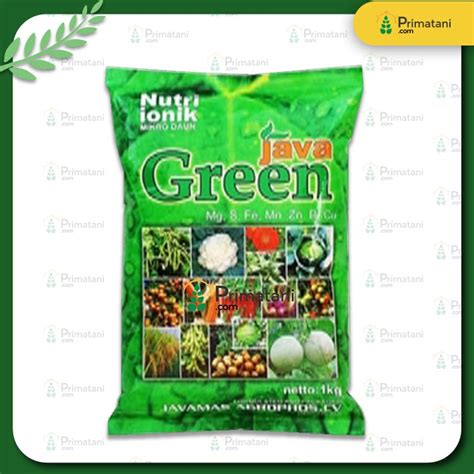 Java Green 1kg