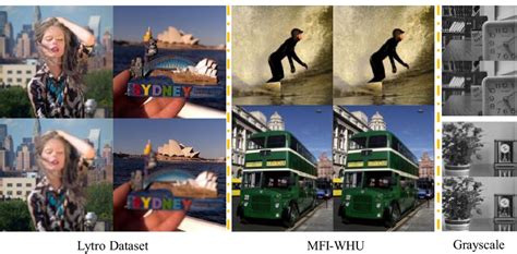 Examples Of The Lytro Mfi Whu And Grayscale Dataset Download