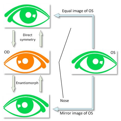 Symmetry Special Issue Applications Based On Symmetrical Characteristics Of The Human Body