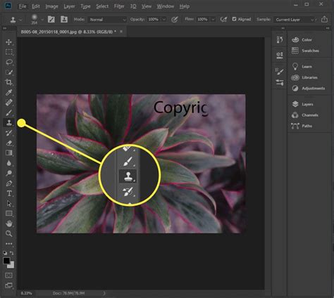 How To Remove Watermarks From Photos