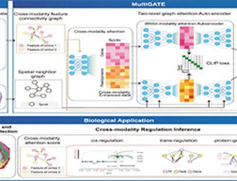 Pip Seq Microfluidics Free Single Cell Genomics With Templated