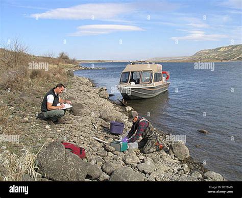 Aquifer Sampling Tubes At Hanford Part Of Pnnls Environmental Research Are Used To Collect