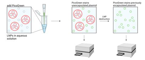 Measurement Igem Freiburg 2024