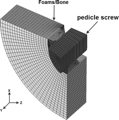 Finite Element Model Of Screw Foamsbone Download Scientific Diagram