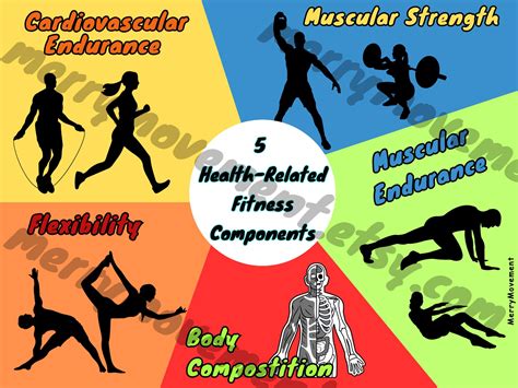 Health Related And Skill Related Fitness Components Poster Gym Fitness
