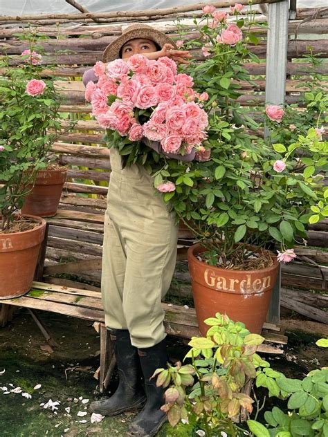 ทาสกับราชนิกุล ทาสกับราชนิกุล สวนกุหลาบพัทยา