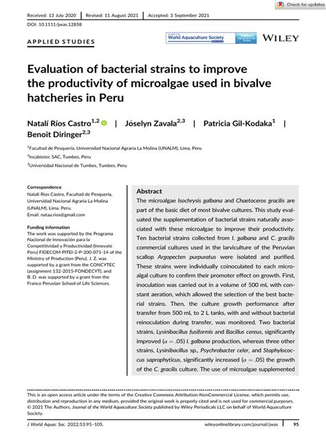 Evaluation Of Bacterial Strains To Improve The Productivity Of Microalgae Used In Bivalve