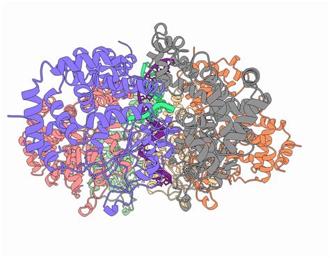 Kaust Scientists See The First Steps Of Life In Dna Unwinding