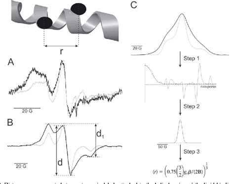 Figure 1 From Attaching A Spin To A Protein — Site Directed Spin Labeling In Structural Biology