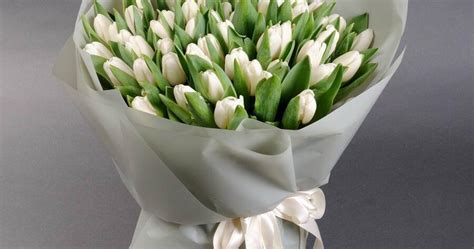 Звертання Розділові знаки при звертаннях 5 клас Практикум Тест на 17 запитань