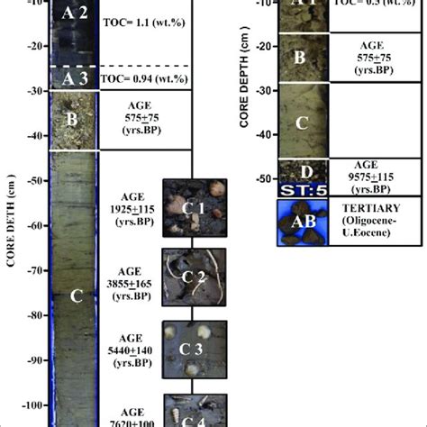 The Generalized Columnar Section Showing The Units And Subunits
