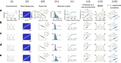 Characterizing Adaptation In Neural Populations Each Row Ae Shows