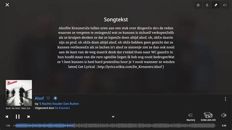 Lyrics Not Displaying Correctly Support Roon Labs Community