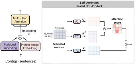 The Self Attention Mechanism In The Transformer Model Vrogue Co