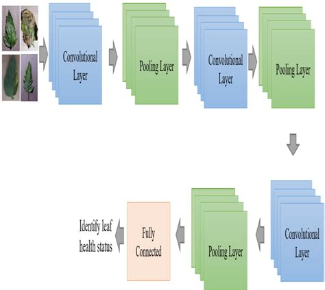 Architecture Of Cnn The Majority Of Cnn Is Composed Of Convolutional Download Scientific