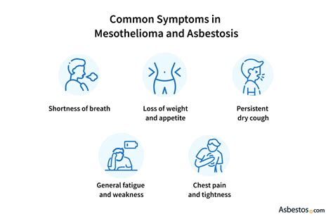 Asbestosis Vs Mesothelioma Key Differences