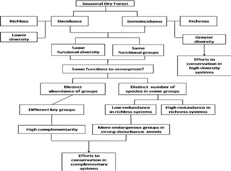 Fluxogram Showing The Steps In This Work Note That Both Forests One Download Scientific