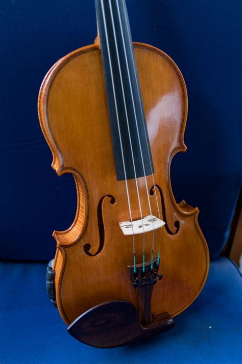 My New Fiddle Discussion Forums Fiddle Hangout
