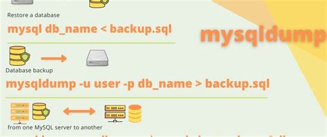 Move A Mysql Database From One Host To Another Using Terminal Dev