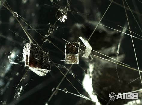 Inclusions In Other Gems And Minerals In Ruby Inclusions In Sapphire Inclusions In Emerald