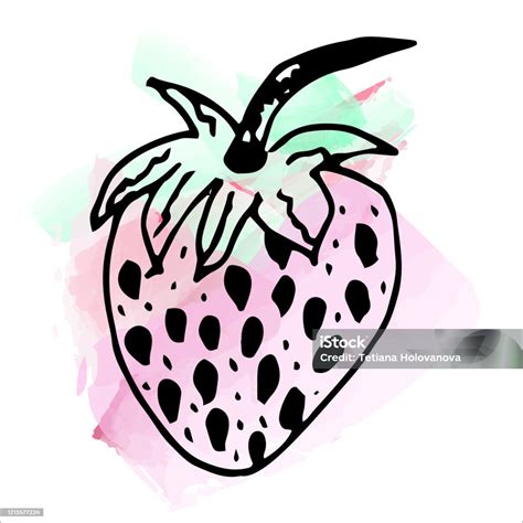 수채화 페인트의 모방 흰색 배경에 딸기의 밝고 육즙 그림 과일에 대한 스톡 벡터 아트 및 기타 이미지 과일 귀여운 달콤한 음식 Istock