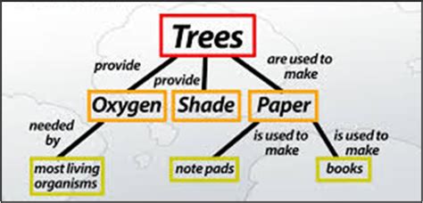 The Mapping Diagram Shows A Function