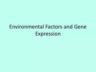 Ppt Environmental Effects On Gene Expression Powerpoint Presentation