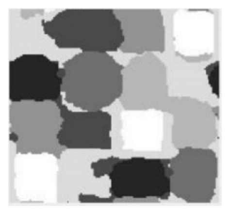 Clustering Results Of Different Algorithms A Raw Image B Fcm C