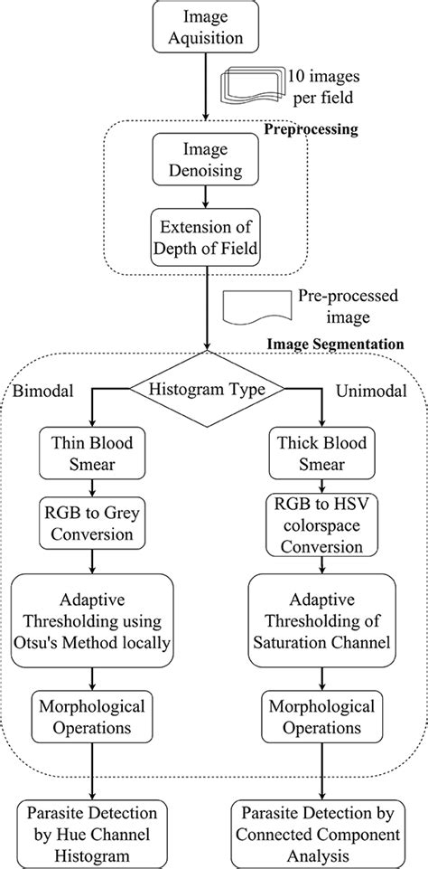 Block Diagram Of Proposed Algorithm Download Scientific Diagram