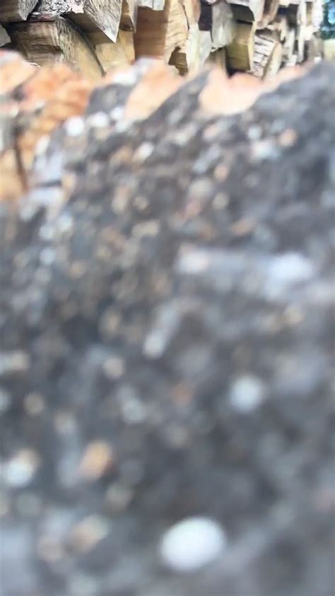 Cs 400 Sound Scrolller