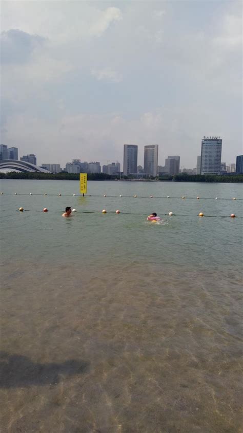 合肥天鵝湖 每日頭條