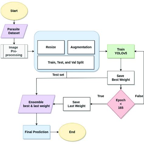Pdf A Novel Ensemble Weight Assisted Yolov5 Based Deep Learning