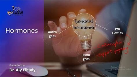 Sex Hormones And Contraceptives حبوب منع الحمل Youtube