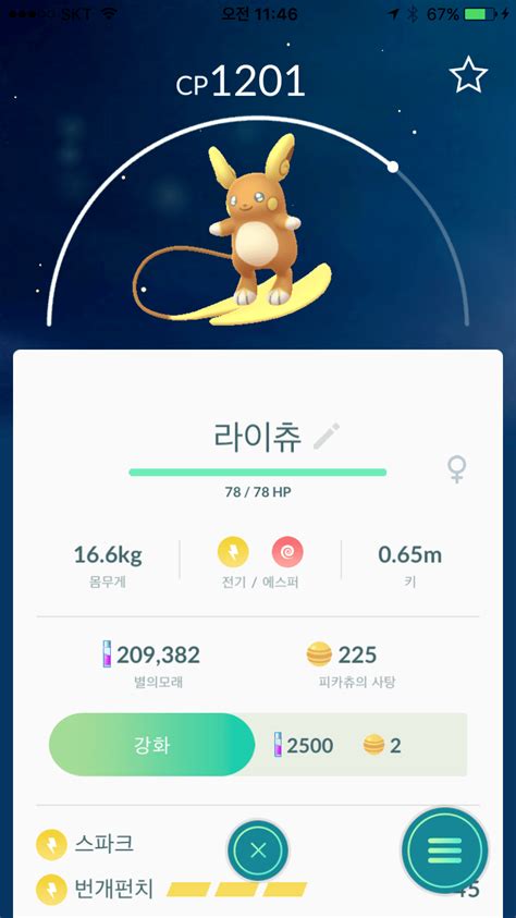 알로라 서핑 라이츄 레이드 포켓몬 에펨코리아