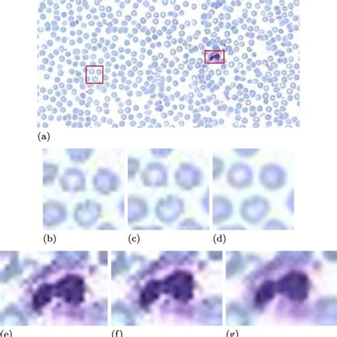 A Super Resolution Result Of Applying The Dataset 2 Trained Deep Cnns