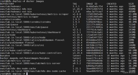 二进制部署kubernetes高可用集群kubeasz 加到环境变量 Csdn博客