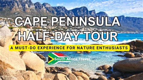 Cape Peninsula Half Day Tour A Must Do Experience For Nature Enthusiasts