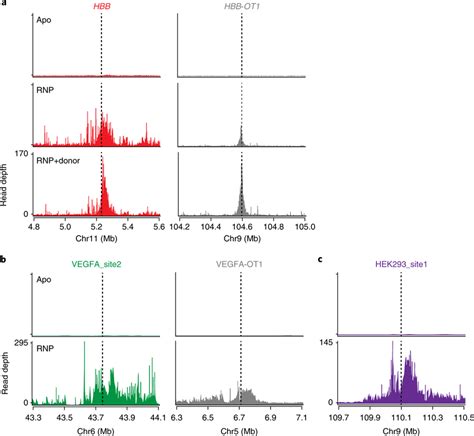 Fancd2 Is Enriched At The Site Of Cas9 Mediated Double Strand Breaks A Download Scientific