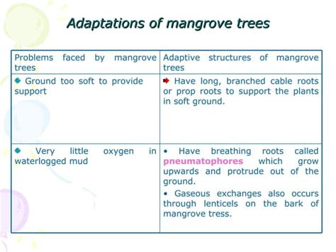 Chapter 8 Dynamic Ecosystem Ppt