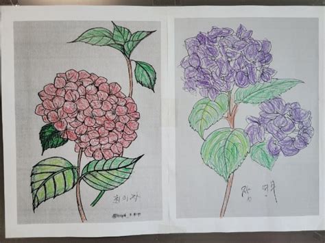 수국색칠하기 경희복지프로그램 경희요양병원