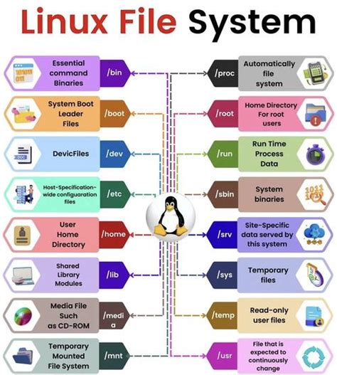 Linux目录结构详解：bin、boot、dev等目录用途介绍 Linux命令大全手册