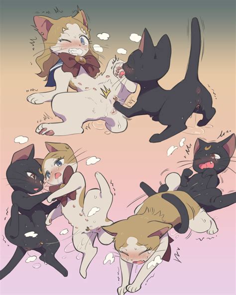 Kinni Luna Sailor Moon Tsukino Usagi Bishoujo Senshi Sailor Moon Absurdres Highres