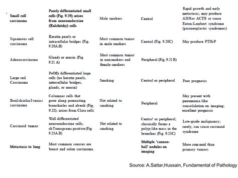 Lung Cancer Pathology And Clinical Pptx