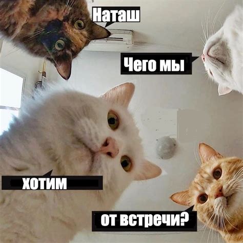 Мем Наташ Чего мы хотим от встречи Все шаблоны Meme