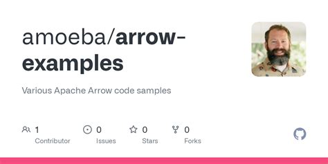 Github Amoebaarrow Examples Various Apache Arrow Code Samples